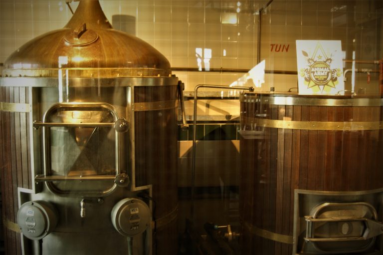 Fiddler, Den Haag – Follow the Beer